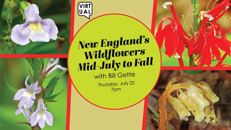 Cary Library | Lexington, MA